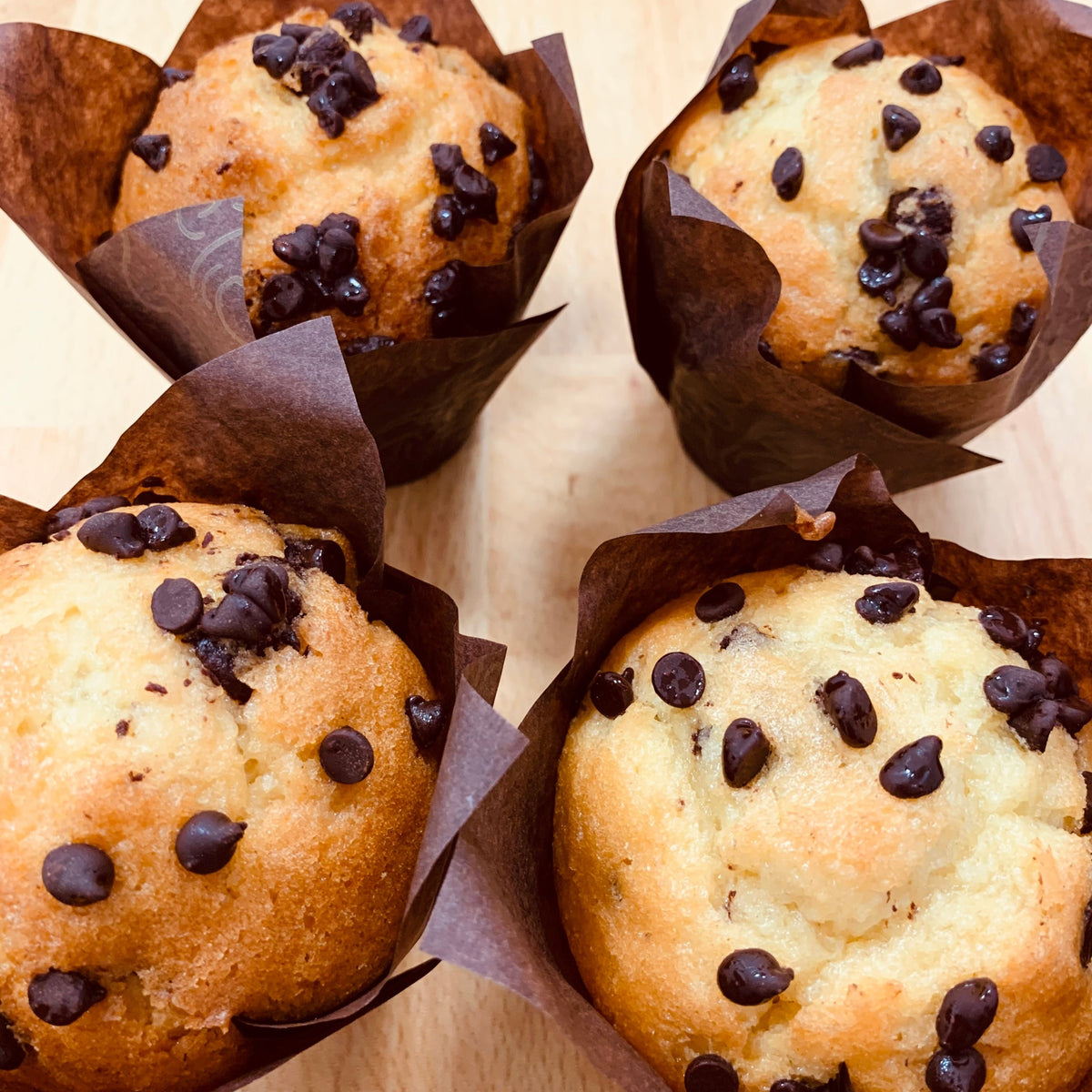 Chocolate Chip Muffins, 4-Pack – Penn State Bakery